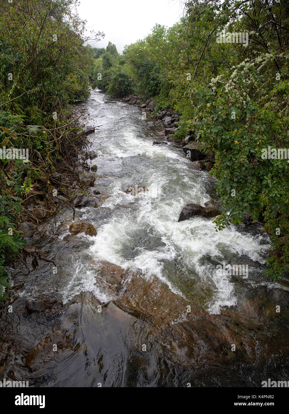 PAPALLACTA, ECUADOR - 2017: Small river next to a hot springs spa Stock ...