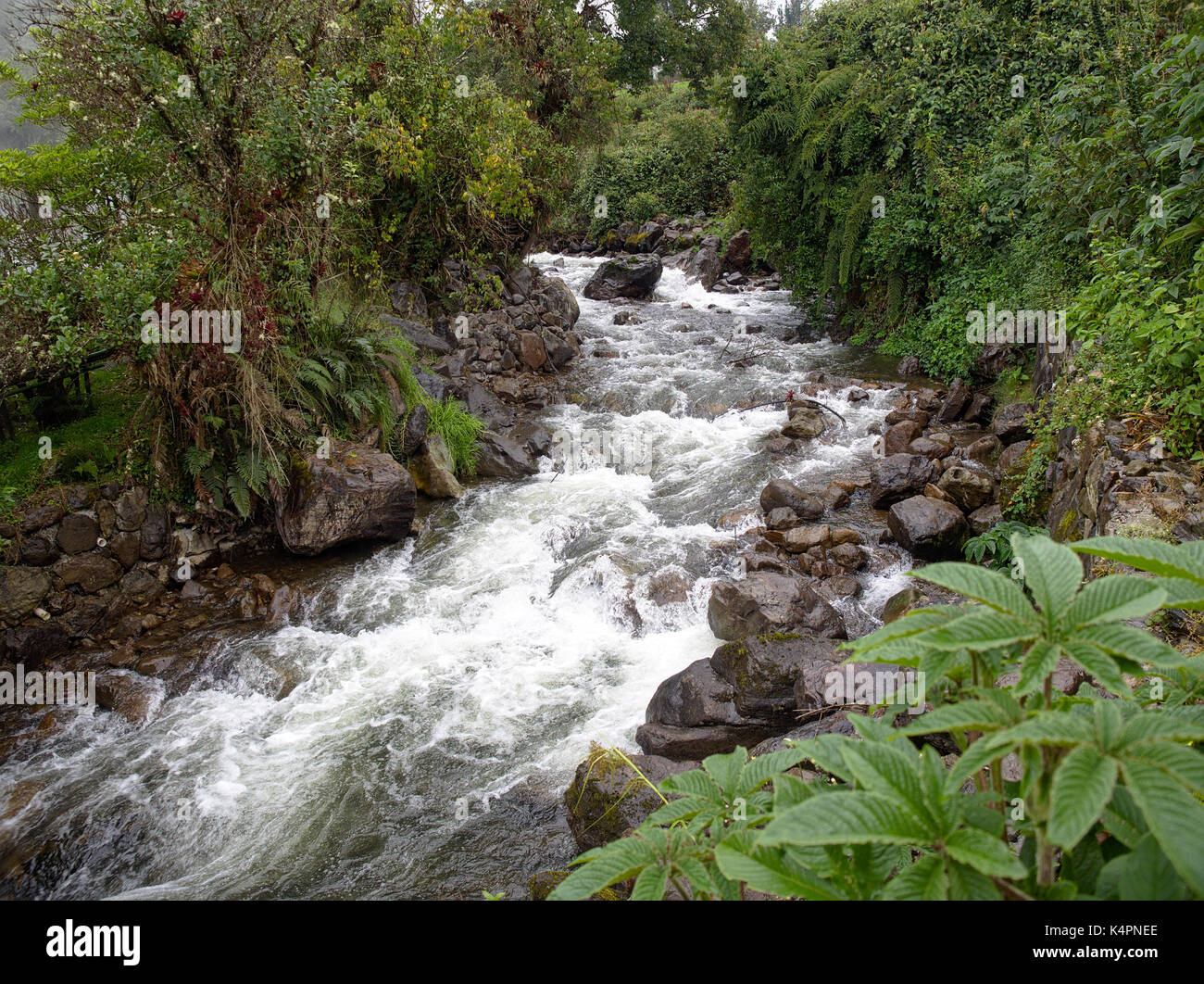 PAPALLACTA, ECUADOR - 2017: Small river next to a hot springs spa Stock ...