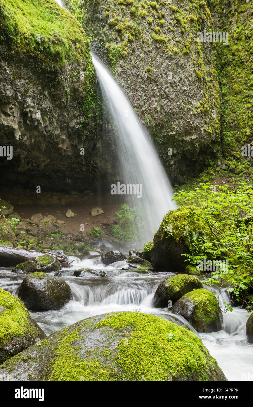 Columbia River Gorge Waterfall Stock Photo - Alamy