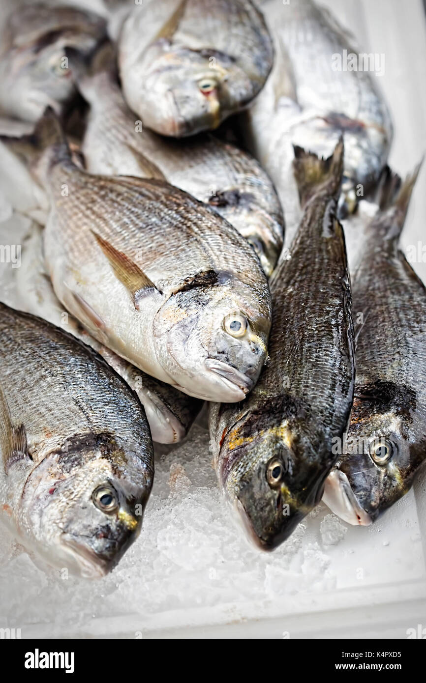 Bream fish in ice on fish market Stock Photo - Alamy