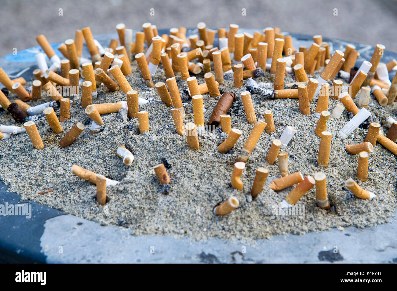 Used smoked cigarette stubs in an ashtray of sand and grit, Italy. 1 ...