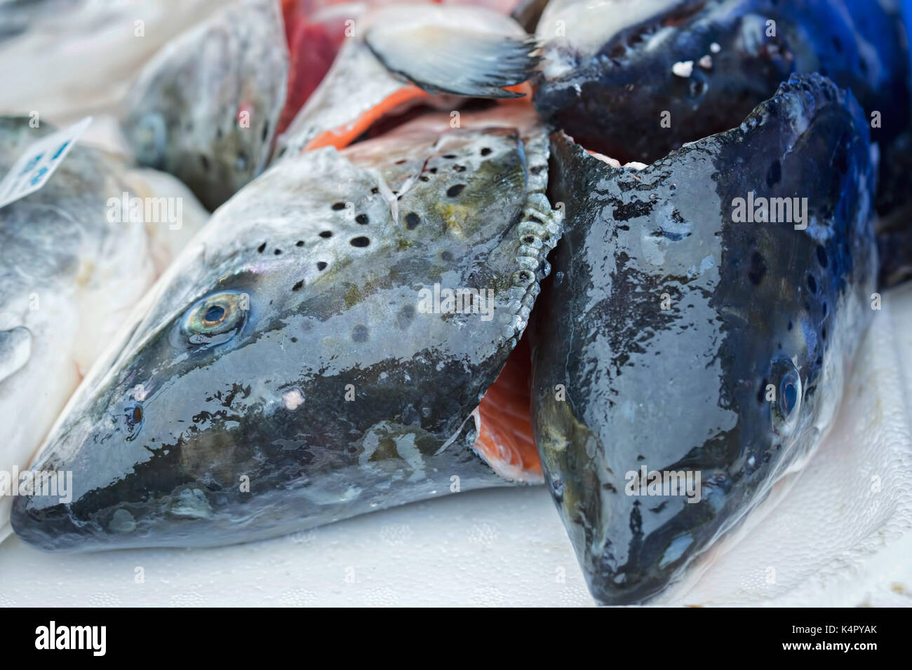Salmon head on fish market Stock Photo - Alamy