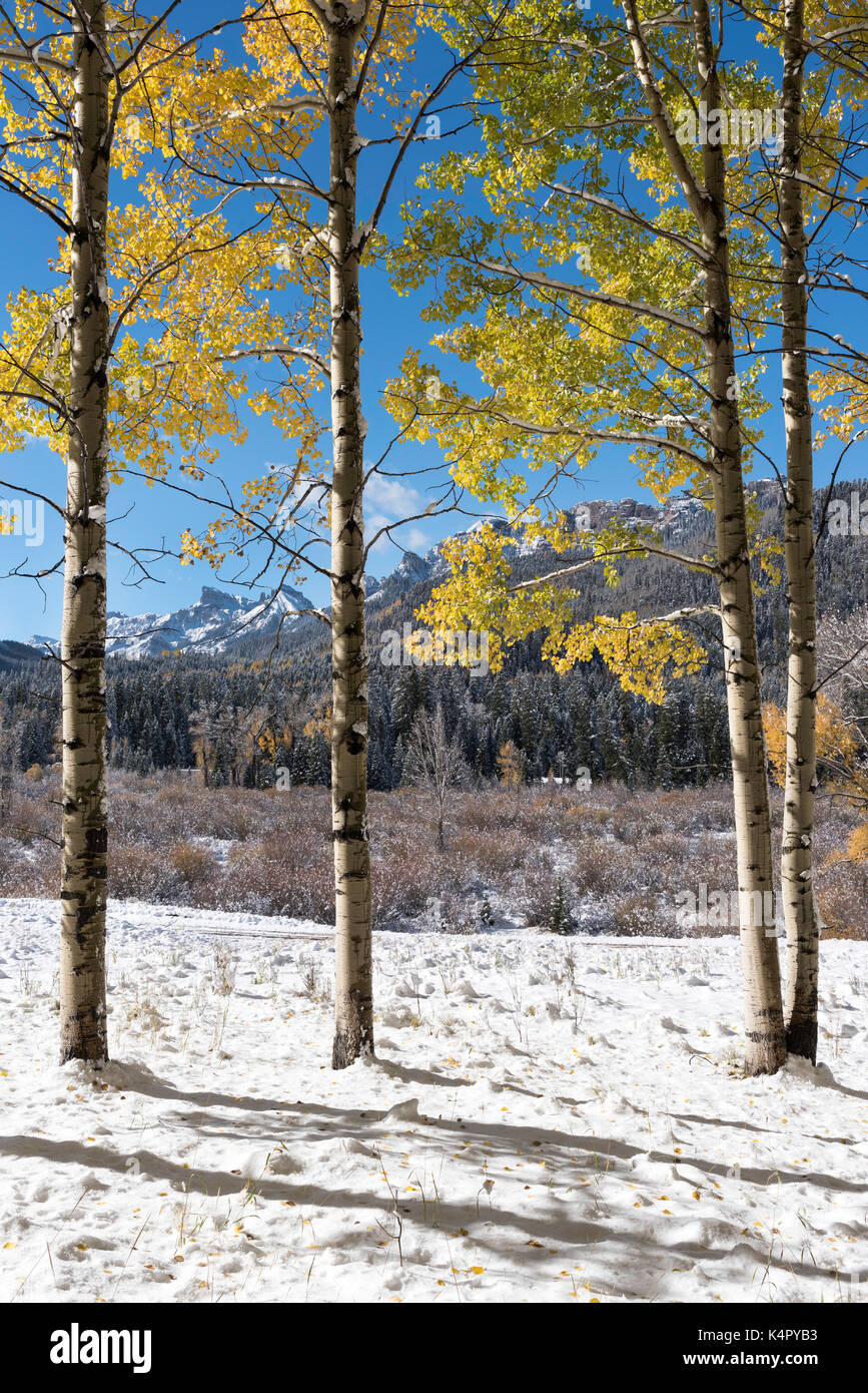 Redcliff Peak and Coxcomb Peak viewed from Cimarron River Valley after ...