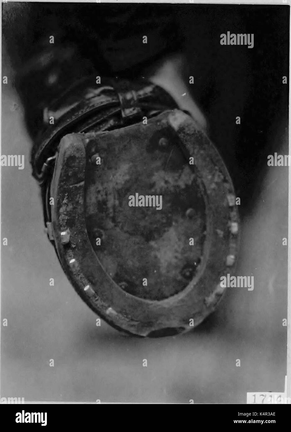 Chemical development section and mechanical research and development ...