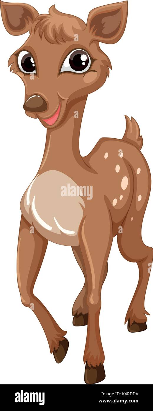 Little fawn with happy smile illustration Stock Vector Image & Art - Alamy