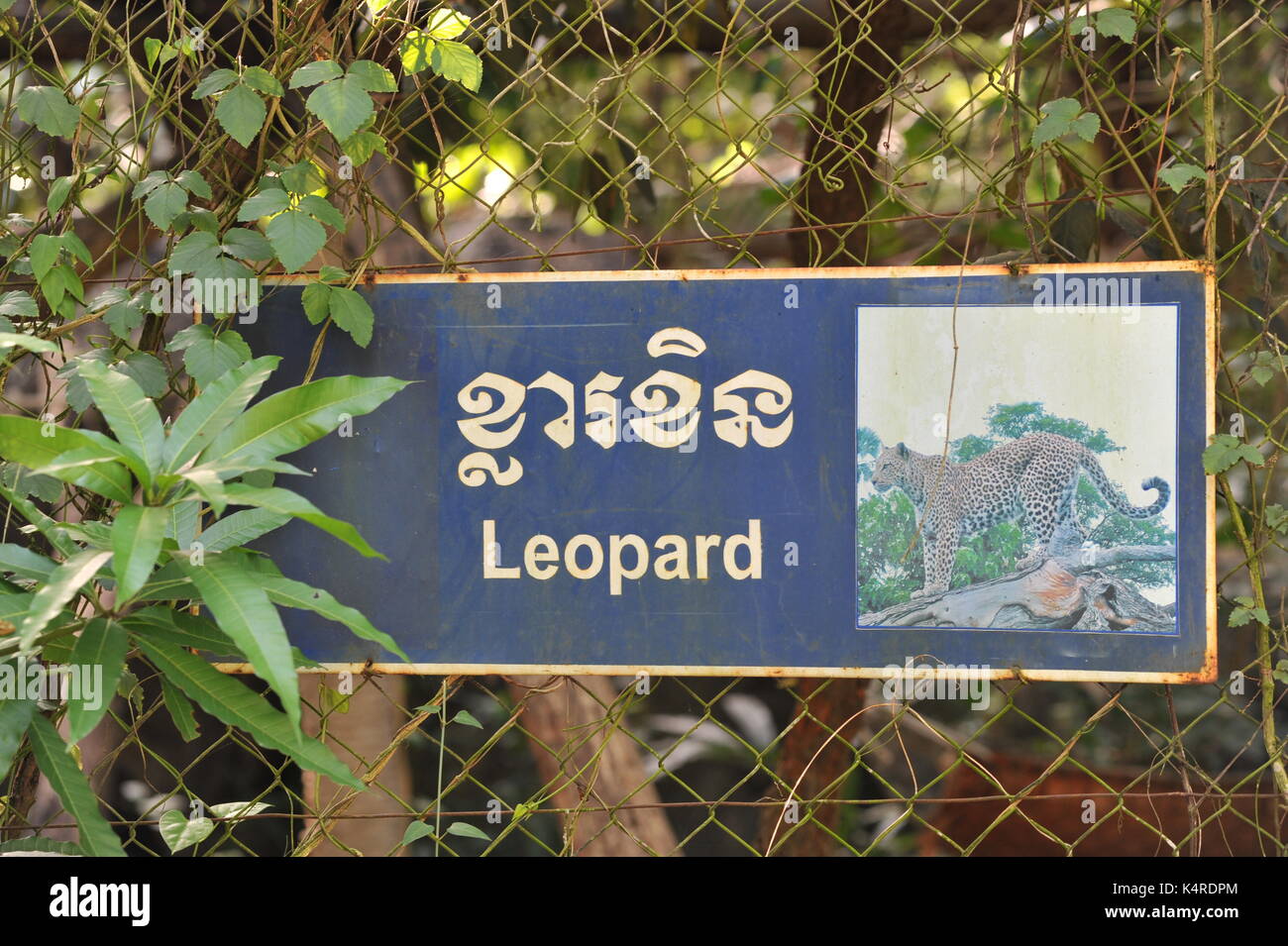 Leopard sign hi-res stock photography and images - Alamy