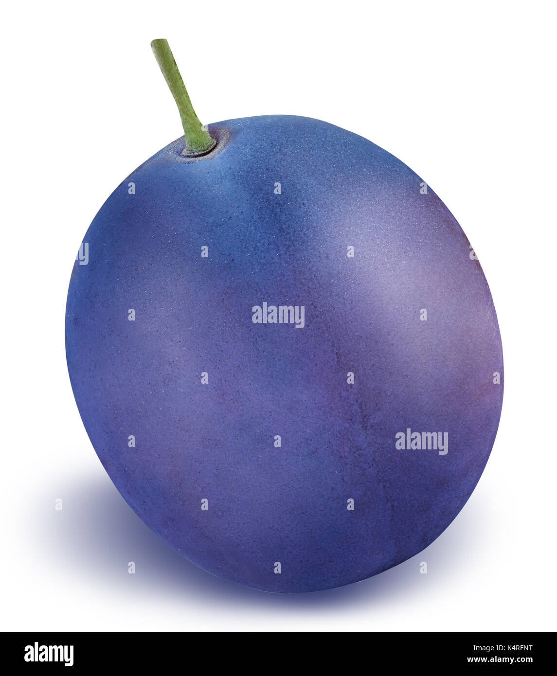 Blue plum isolated on white background with clipping path Stock Photo ...