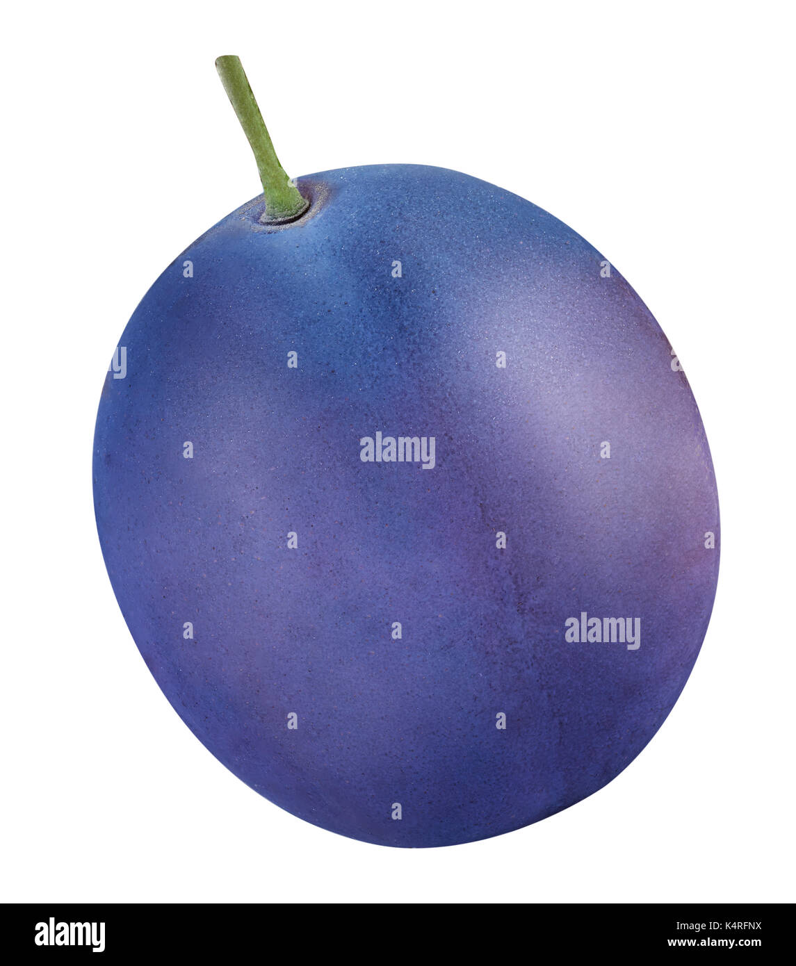 Blue plum isolated on white background with clipping path Stock Photo ...