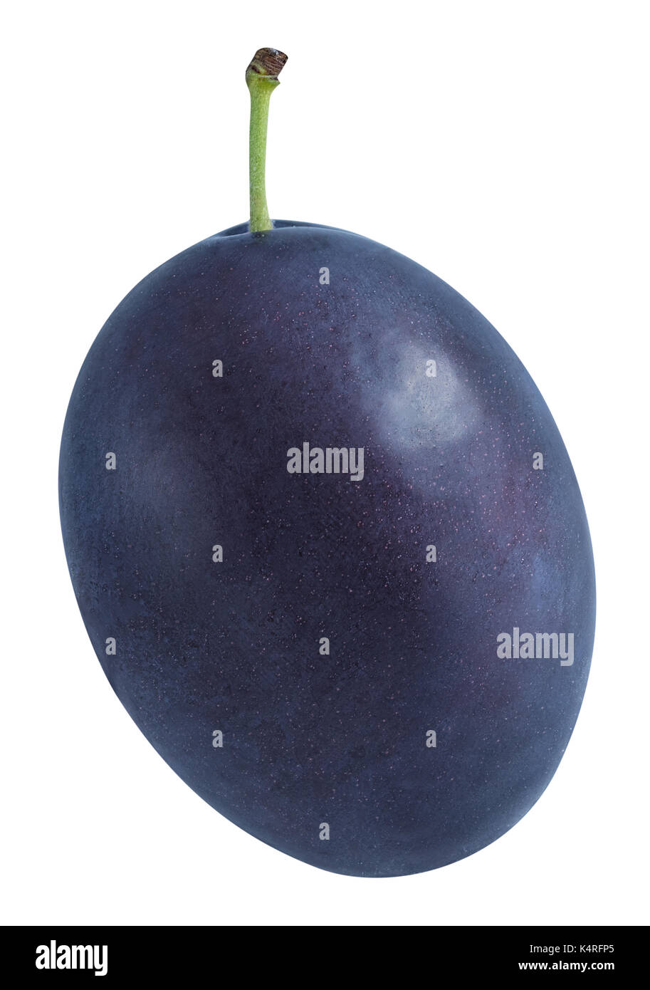 Blue plum isolated on white background with clipping path Stock Photo ...