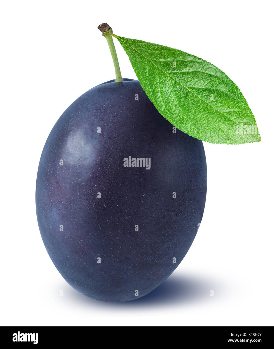 Blue plum isolated on white background with clipping path Stock Photo ...