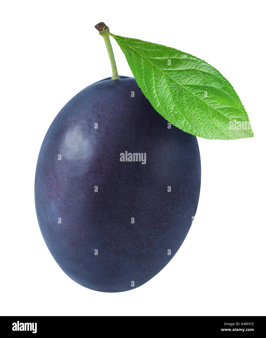 Blue plum isolated on white background with clipping path Stock Photo ...