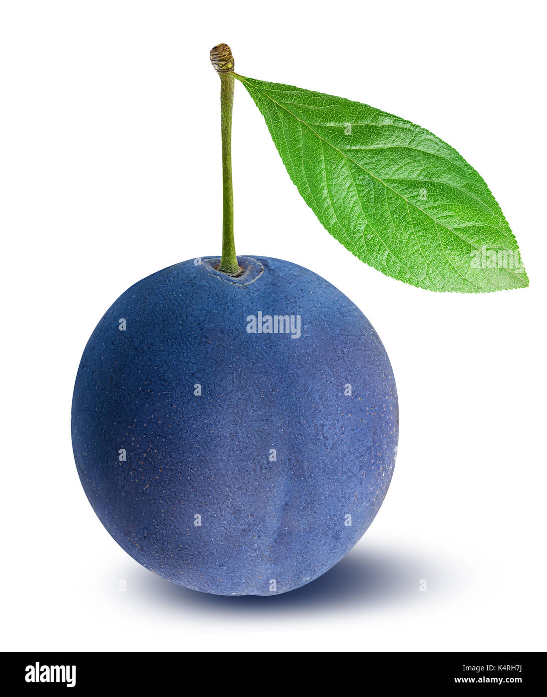 Blue plum isolated on white background with clipping path Stock Photo ...