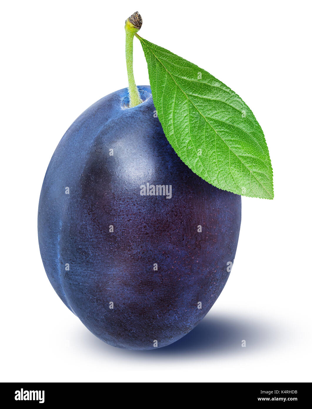 Blue plum isolated on white background with clipping path Stock Photo ...