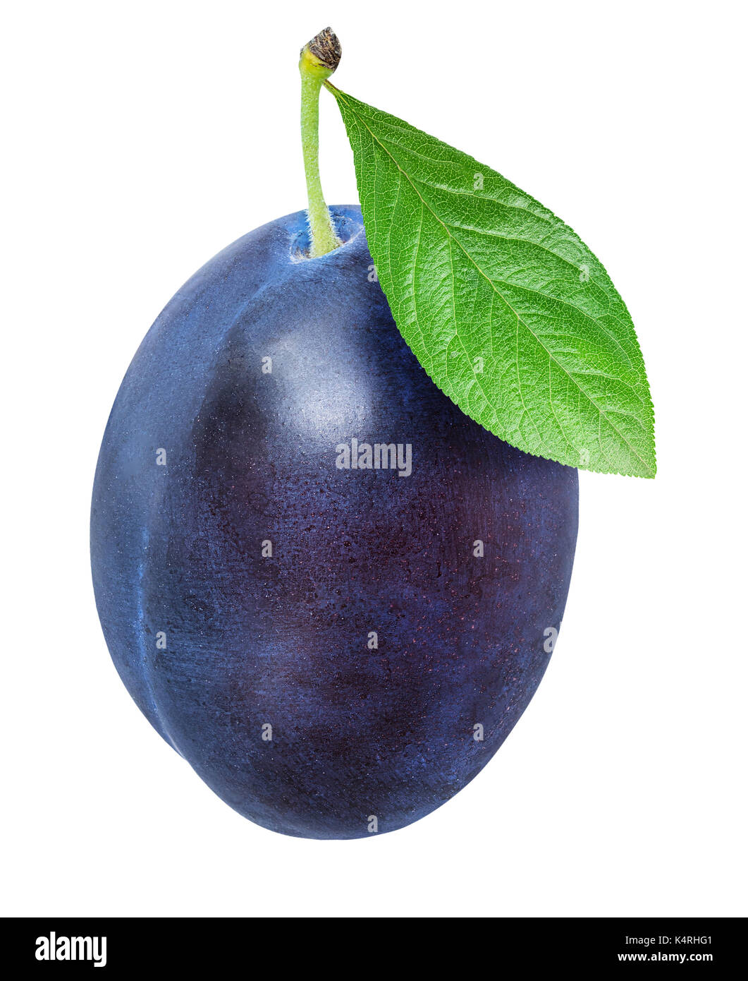 Blue plum isolated on white background with clipping path Stock Photo ...