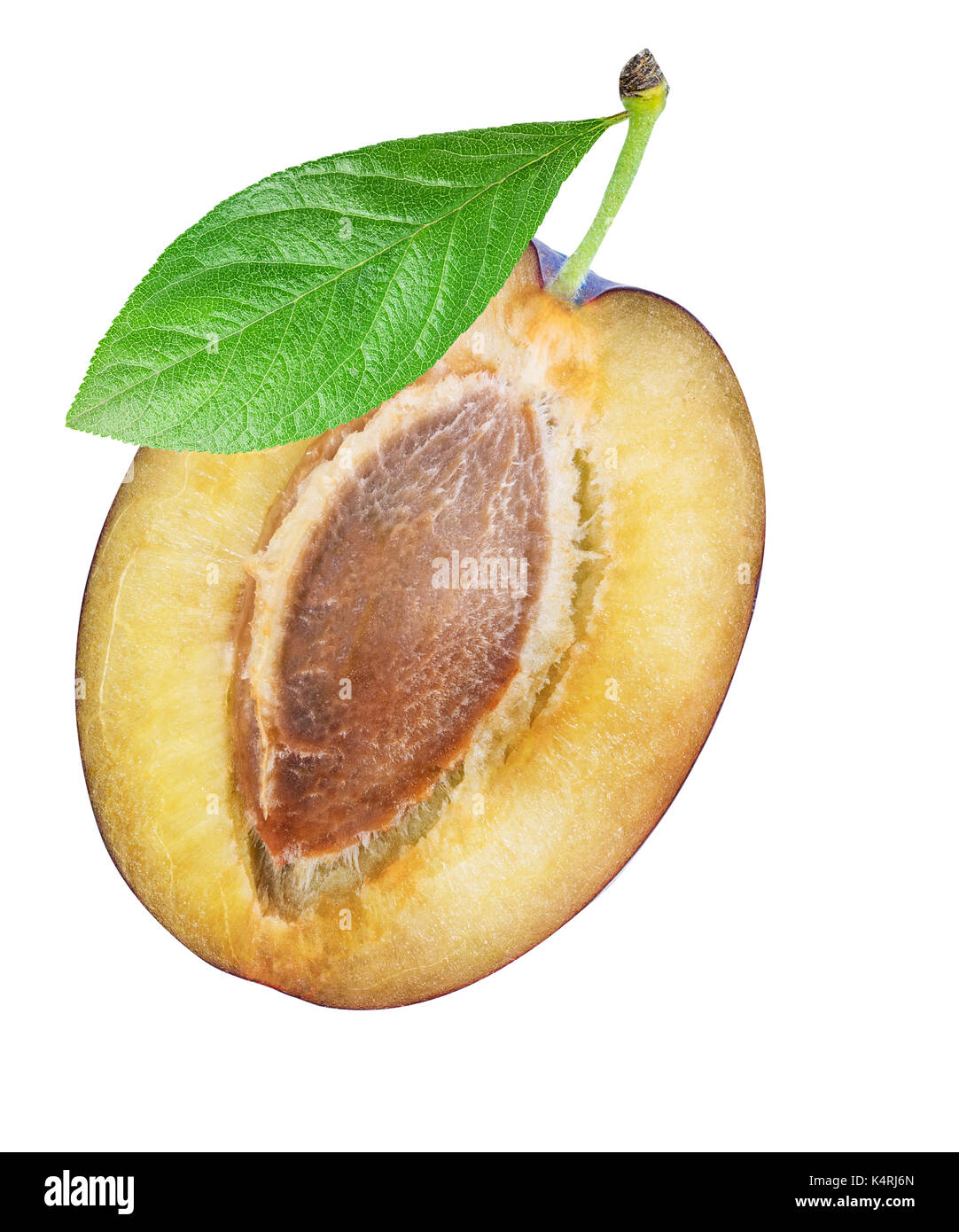 Blue plum isolated on white background with clipping path Stock Photo ...