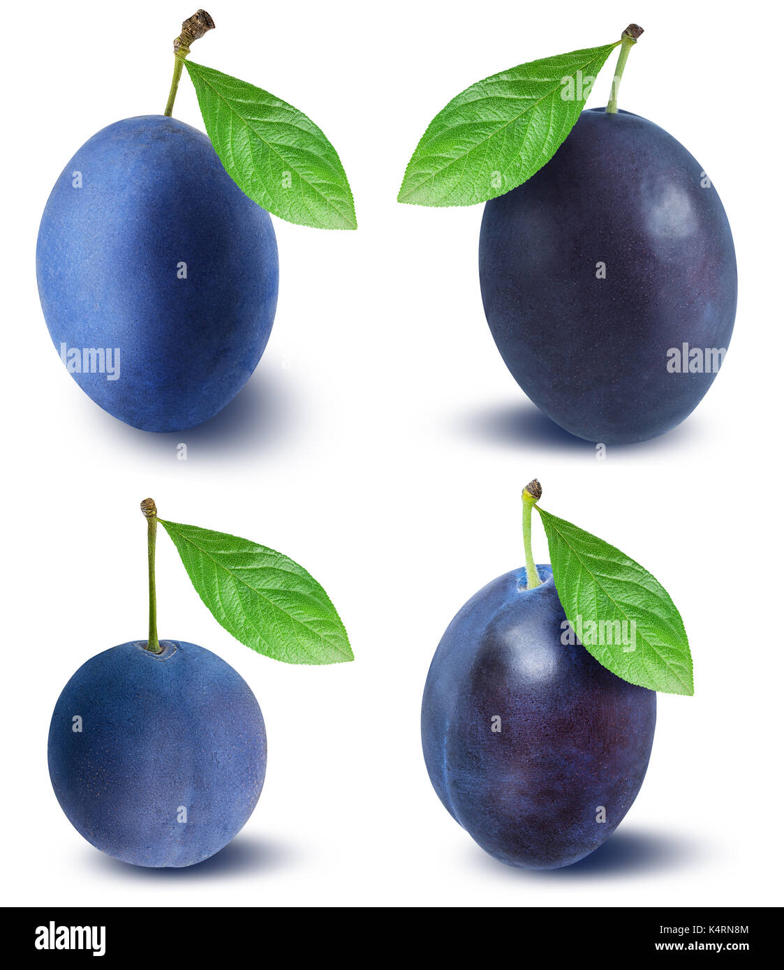 Blue plum isolated on white background with clipping path Stock Photo ...