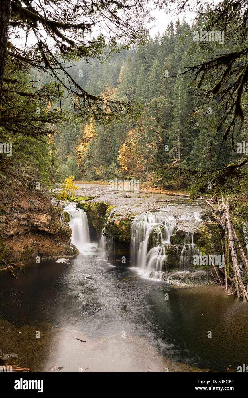 Lower Lewis Falls, located in the Gifford Pinchot National Forest ...