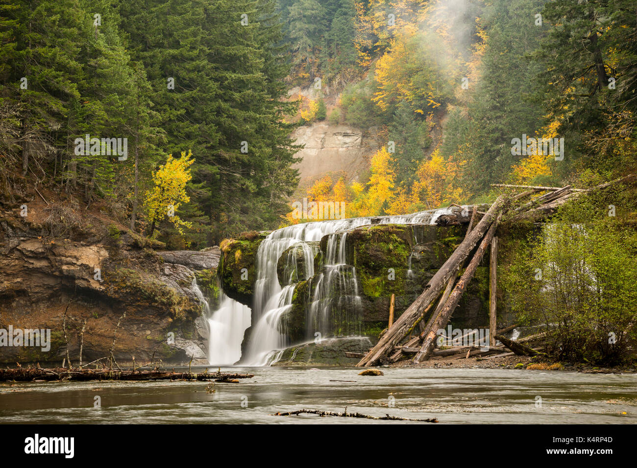 Lower Lewis Falls, located in the Gifford Pinchot National Forest ...