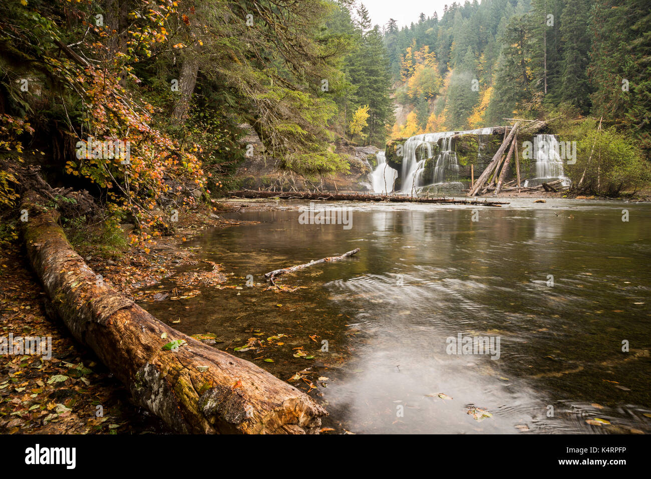 Lower Lewis Falls, located in the Gifford Pinchot National Forest ...