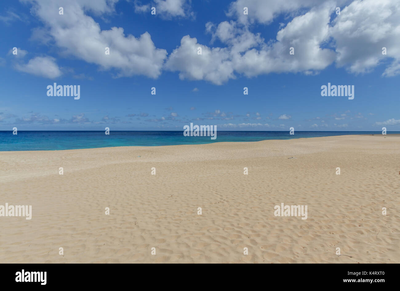 Beautiful tropical sandy beach on the north shore of Oahu Hawaii Stock ...