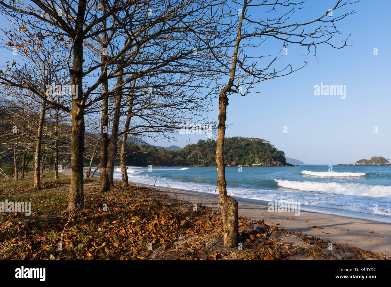 Castelhanos Beach at Ilhabela, São Paulo, Brazil Stock Photo - Alamy