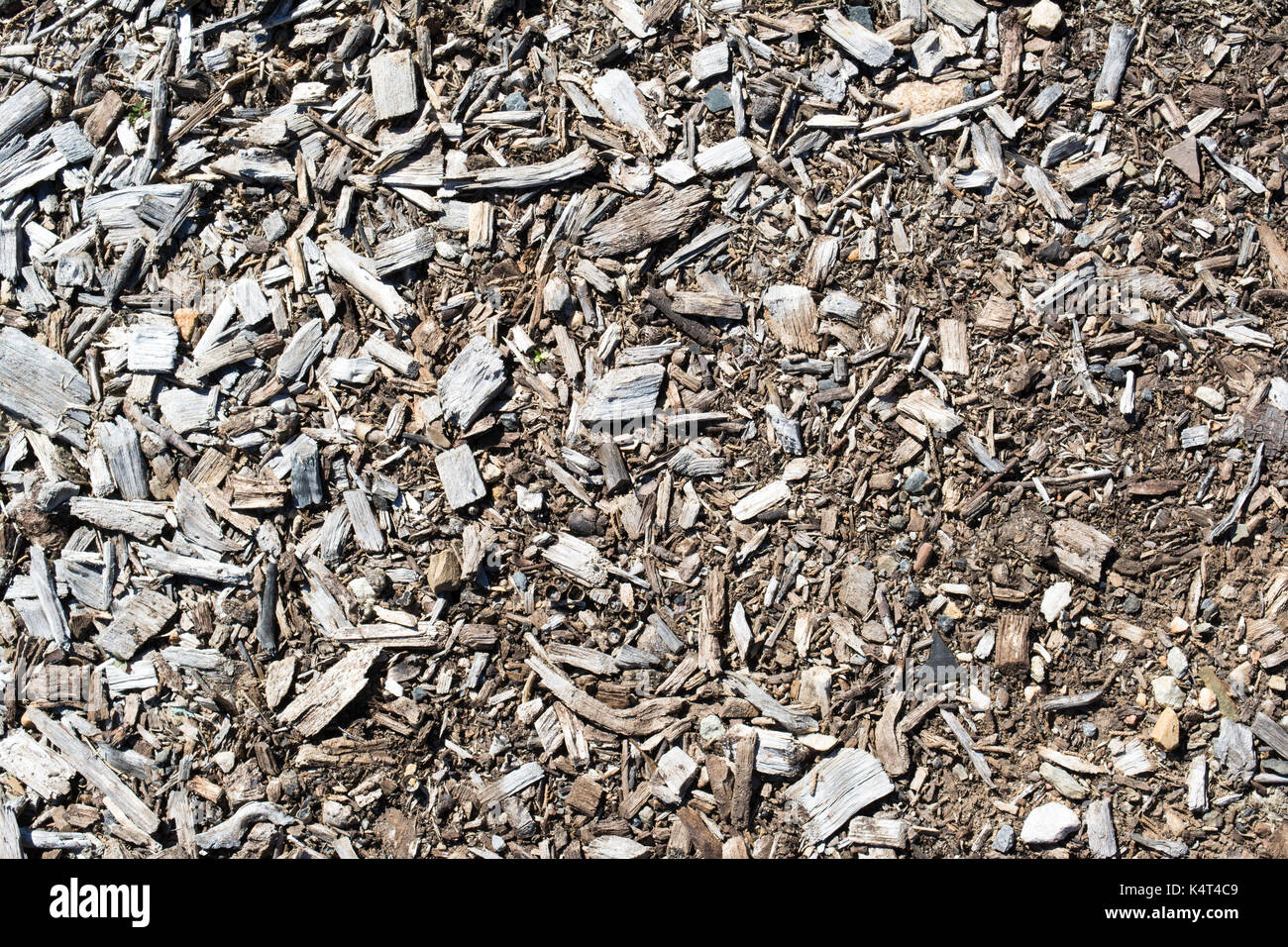 Abstract textures and backgrounds: Natural bark ground cover or mulch ...