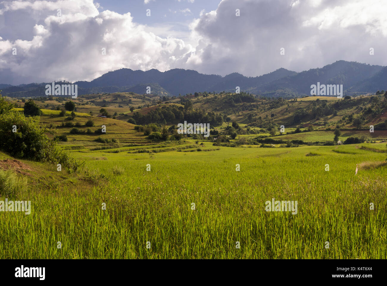 Myanmar burma rural hi-res stock photography and images - Alamy