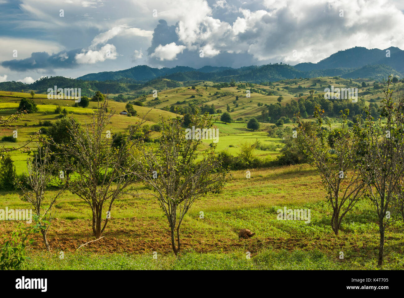 Rural Landscape of farmland, Shan State, Burma, Myanmar, South East ...