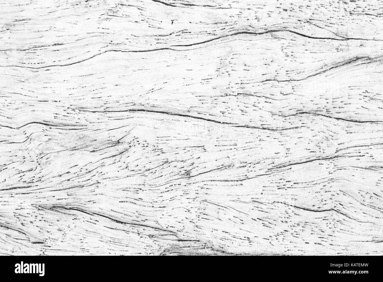 Abstract surface white wood table texture background. Close up of dark ...