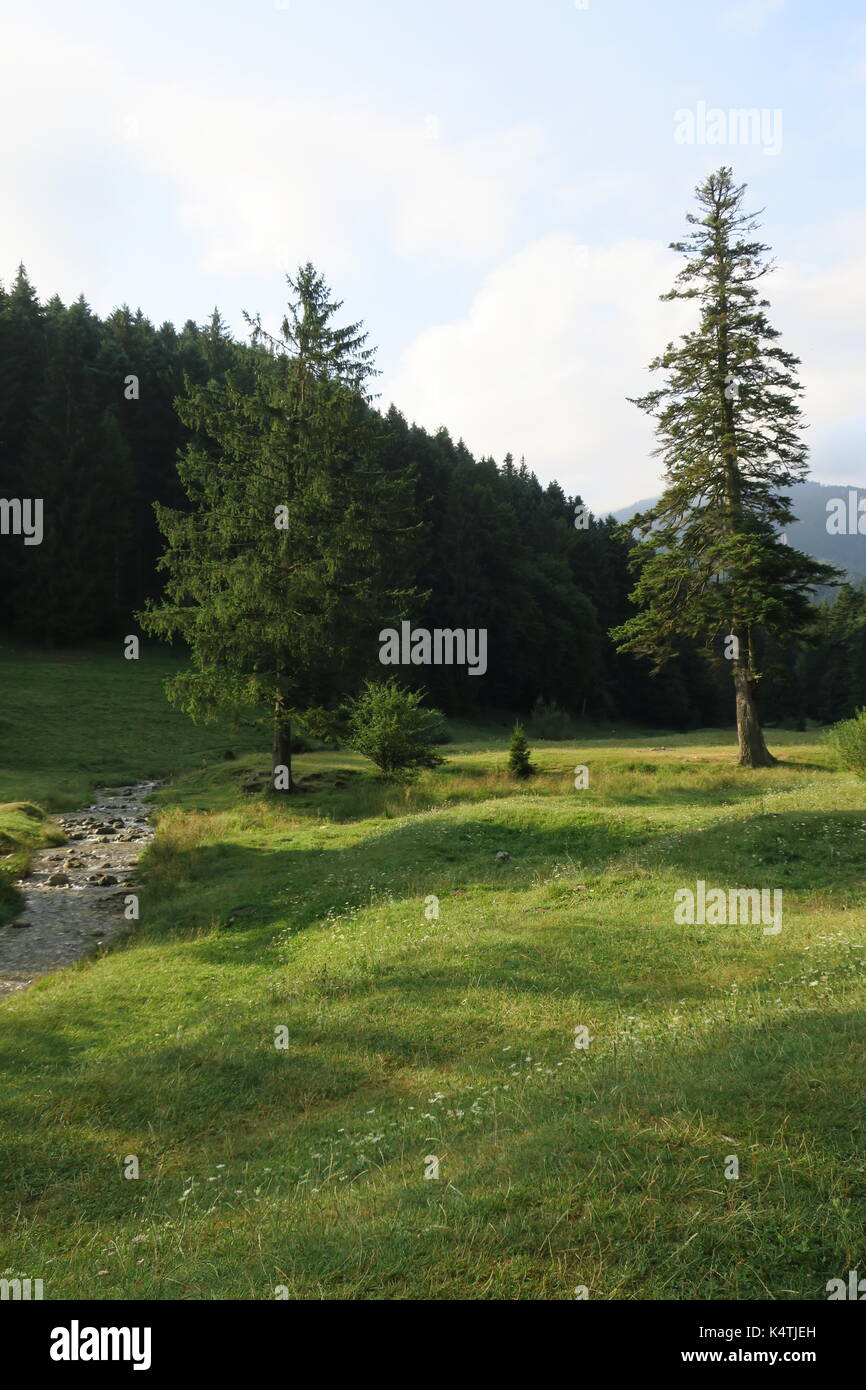 Untouched nature, countryside in Romania. Picturesque county ...
