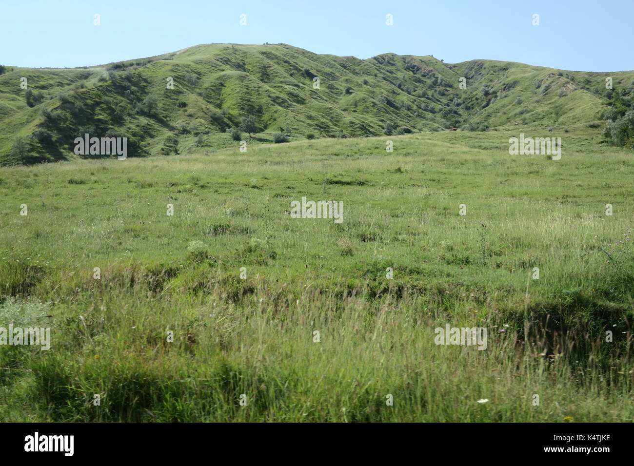 Untouched nature, countryside in Romania. Picturesque county ...