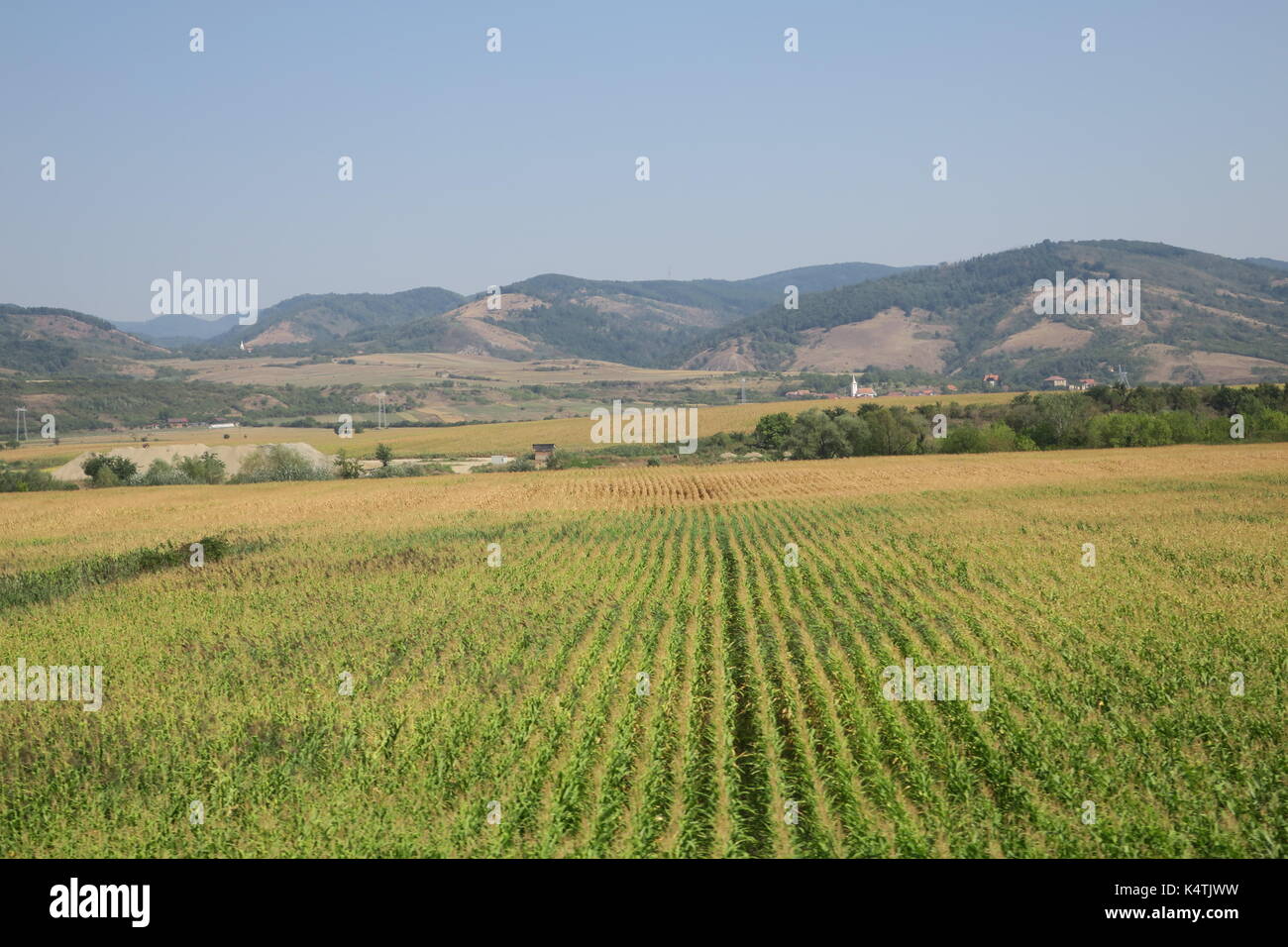 Untouched nature, countryside in Romania. Picturesque county ...