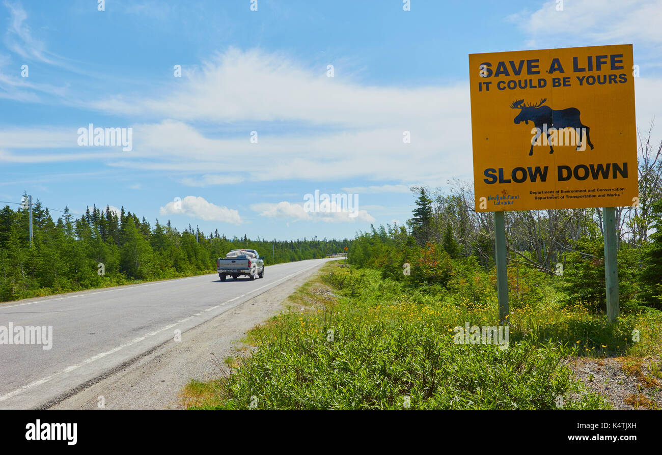 Newfoundland moose road sign hi-res stock photography and images - Alamy