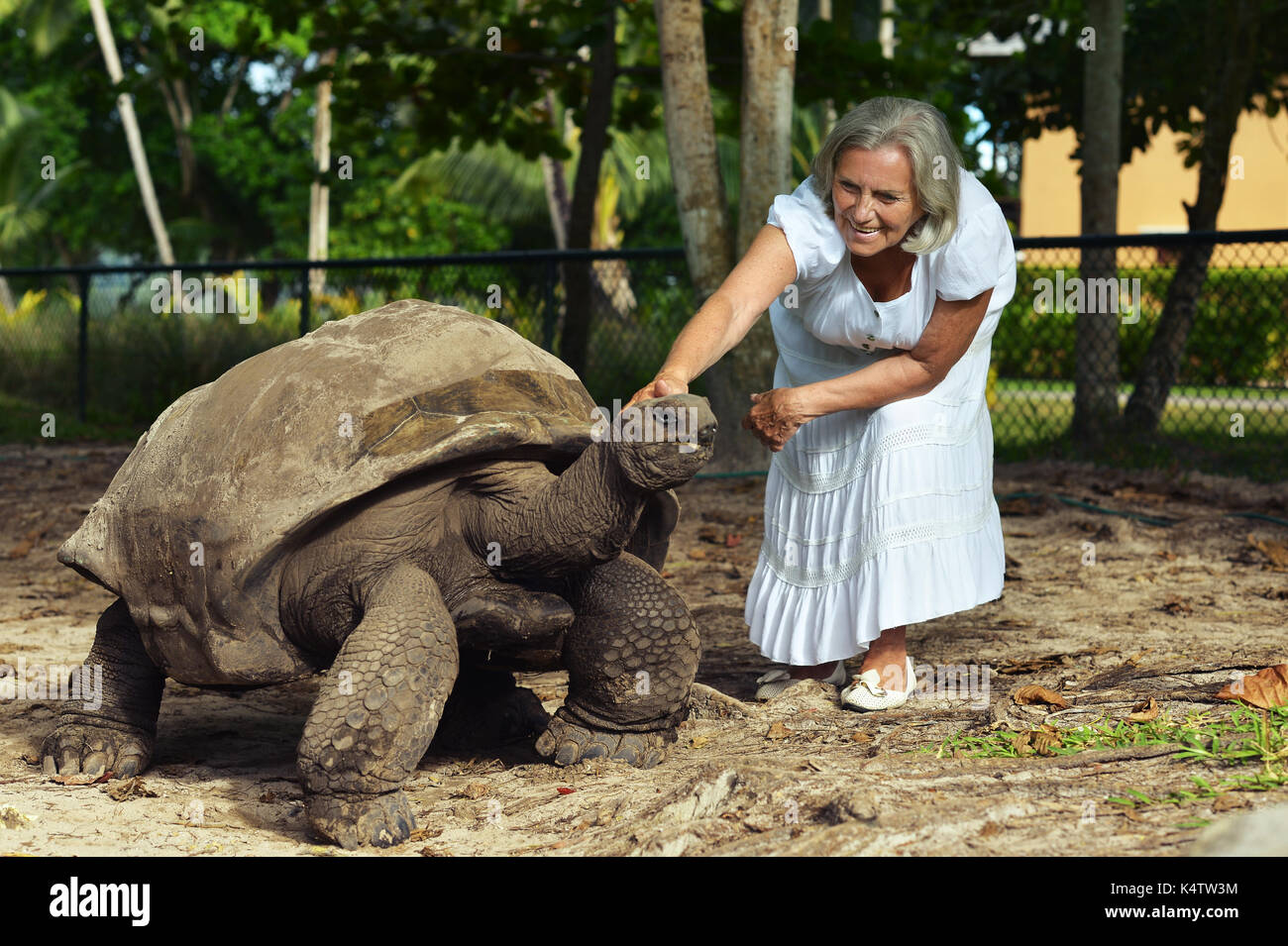 Beautiful senior woman with big turtle outdoors Stock Photo - Alamy