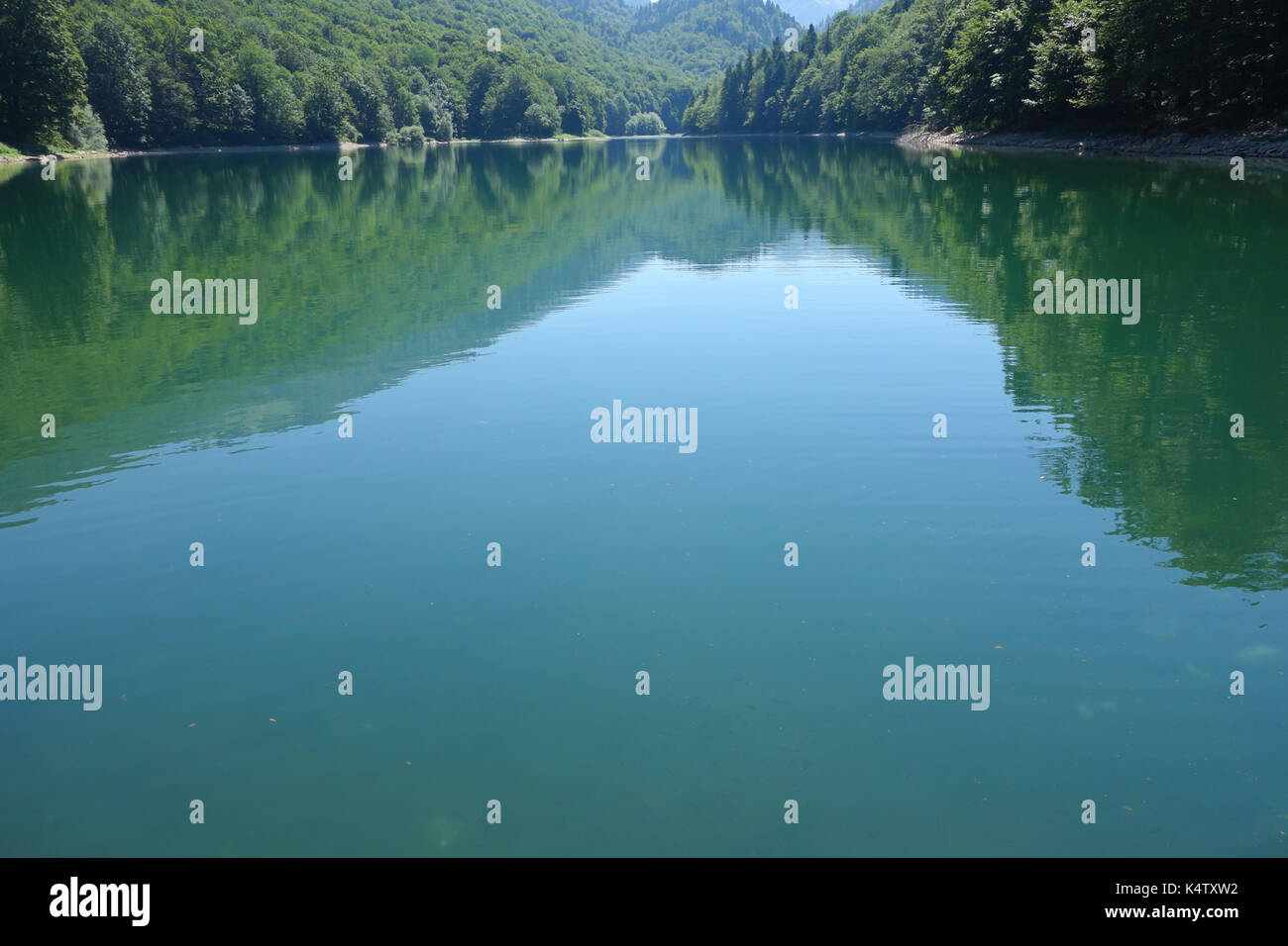 National park Biogradska mountain, Montenegro Stock Photo - Alamy