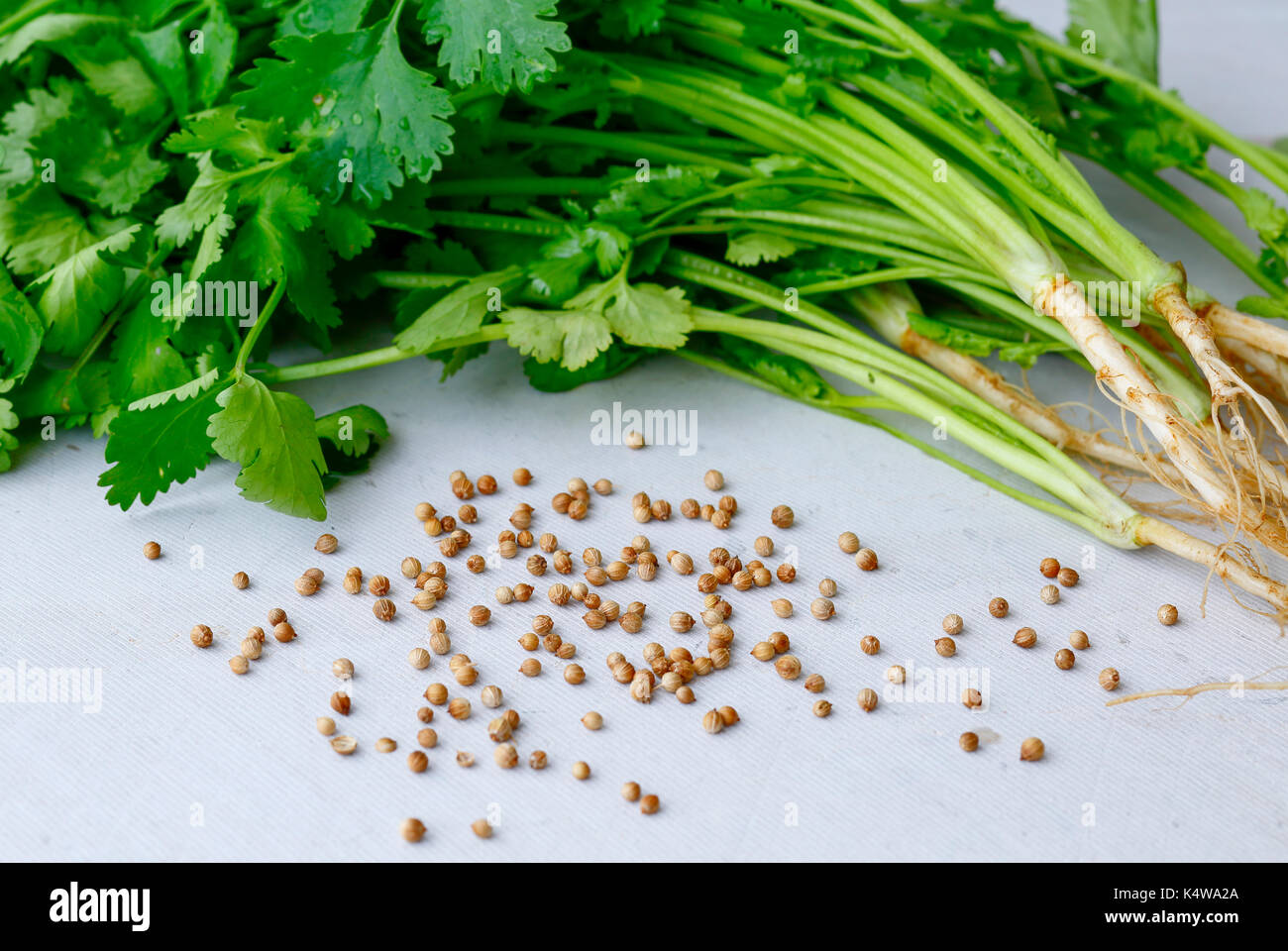 Close up coriander seeds hi-res stock photography and images - Alamy