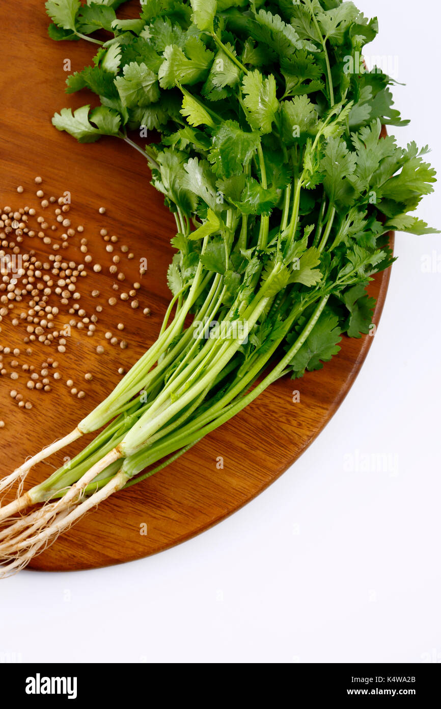 Close up of coriander seeds hi-res stock photography and images - Alamy