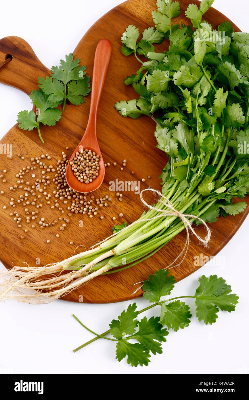 Close up coriander seeds hi-res stock photography and images - Alamy
