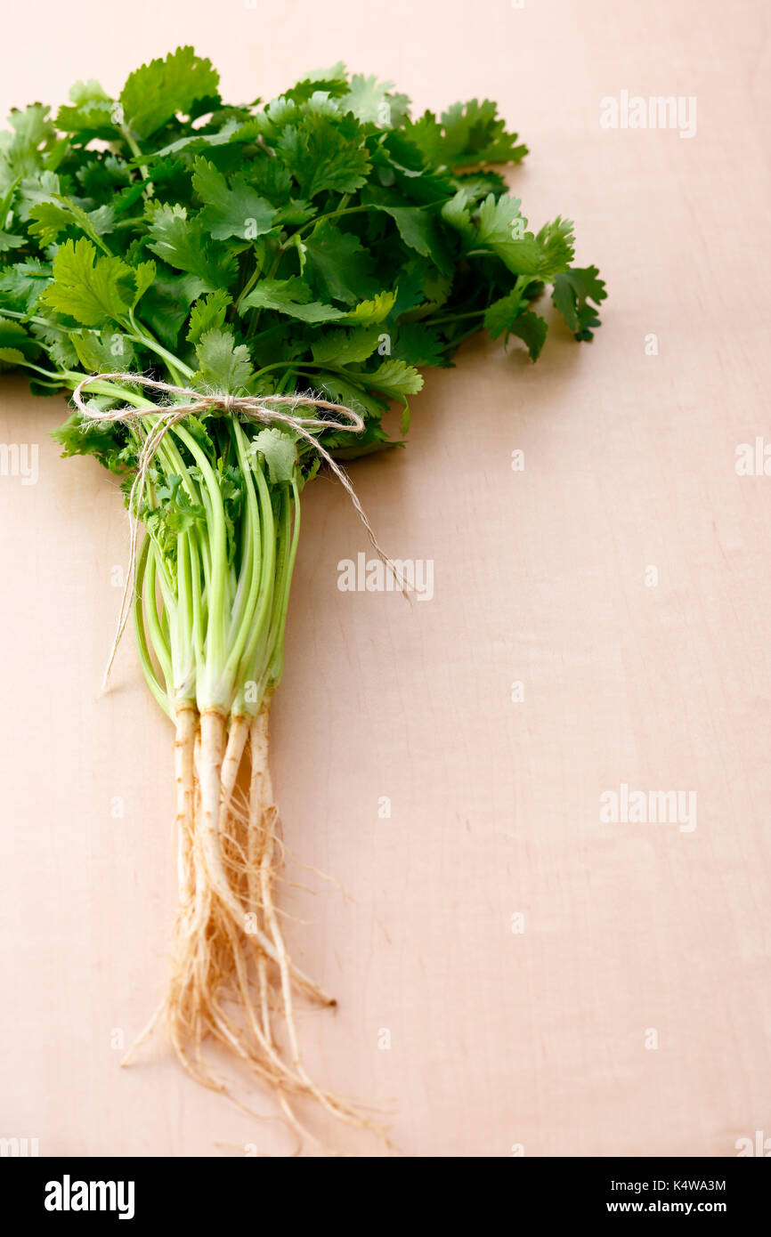 Chinese parsley hi-res stock photography and images - Alamy