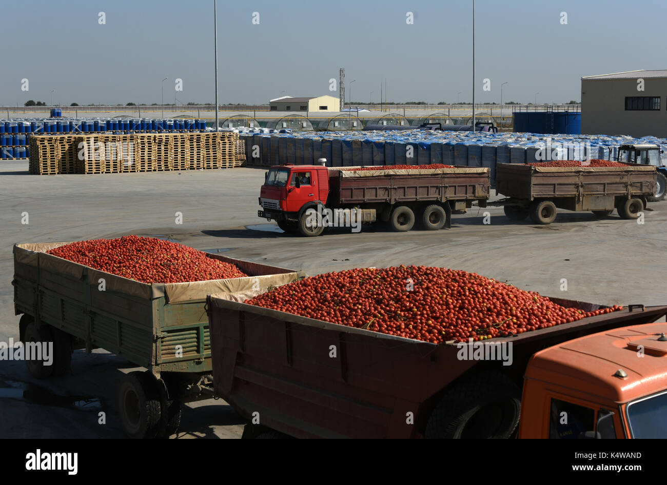 Tomato harvest truck hi-res stock photography and images - Alamy