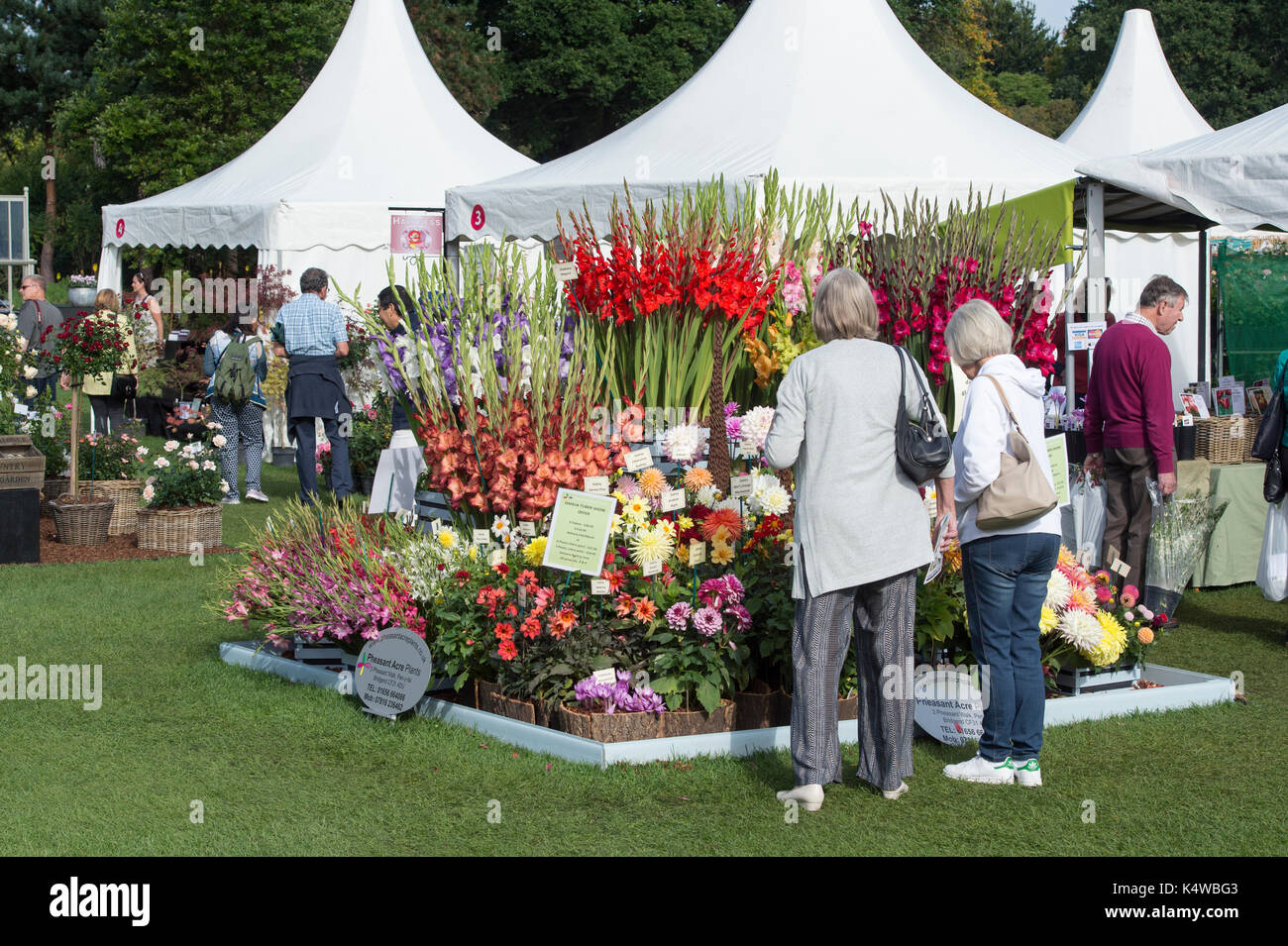 Rhs Flower Shows Stock Photos & Rhs Flower Shows Stock Images - Alamy
