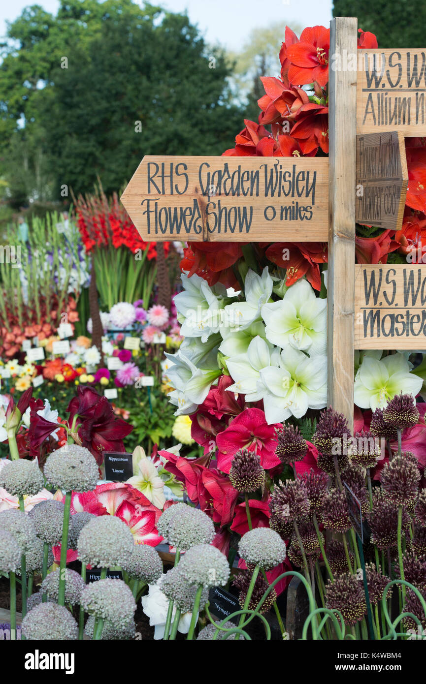 RHS Wisley flower show 2017 sign and flowers. RHS Wisley Gardens ...
