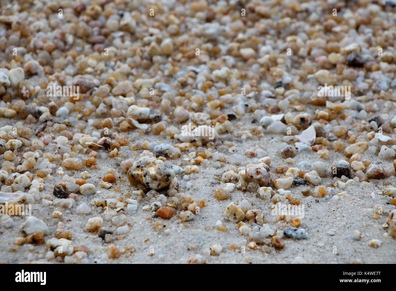 Beach rocks detail hi-res stock photography and images - Alamy