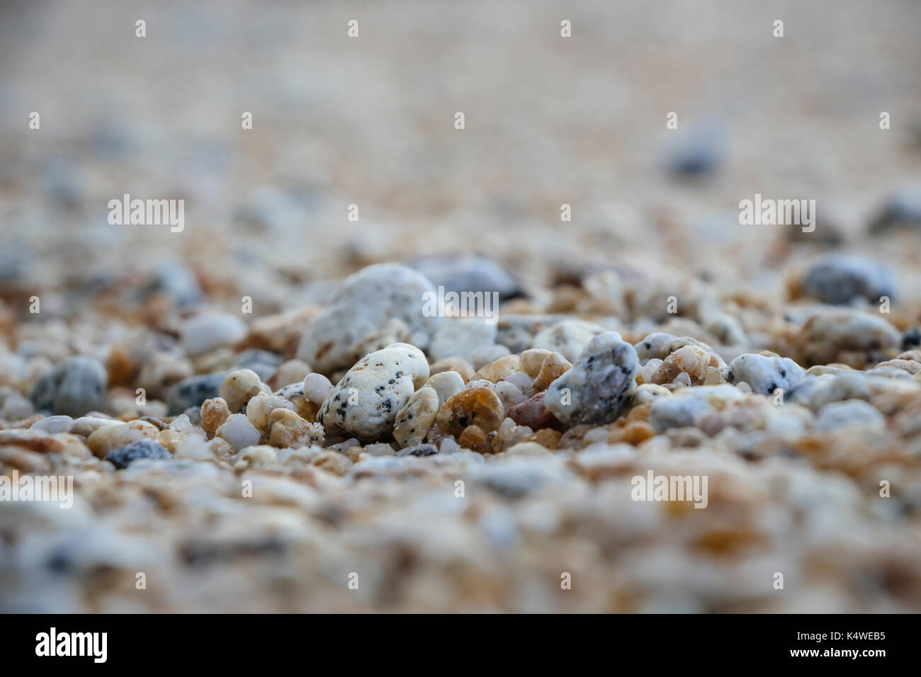 Small rocks by seaside Stock Photo - Alamy