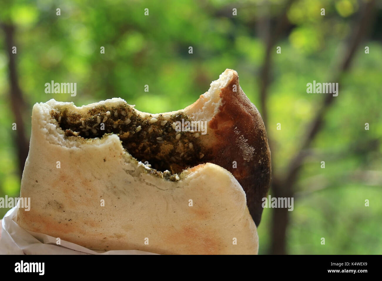 A mankousheh against a green background. It's a traditional Lebanese ...