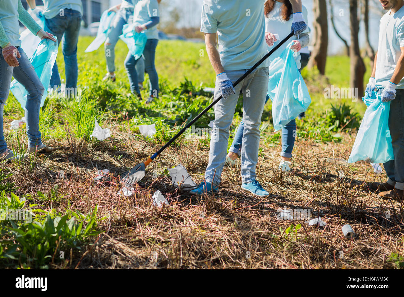 volunteers with garbage bags cleaning park area Stock Photo - Alamy