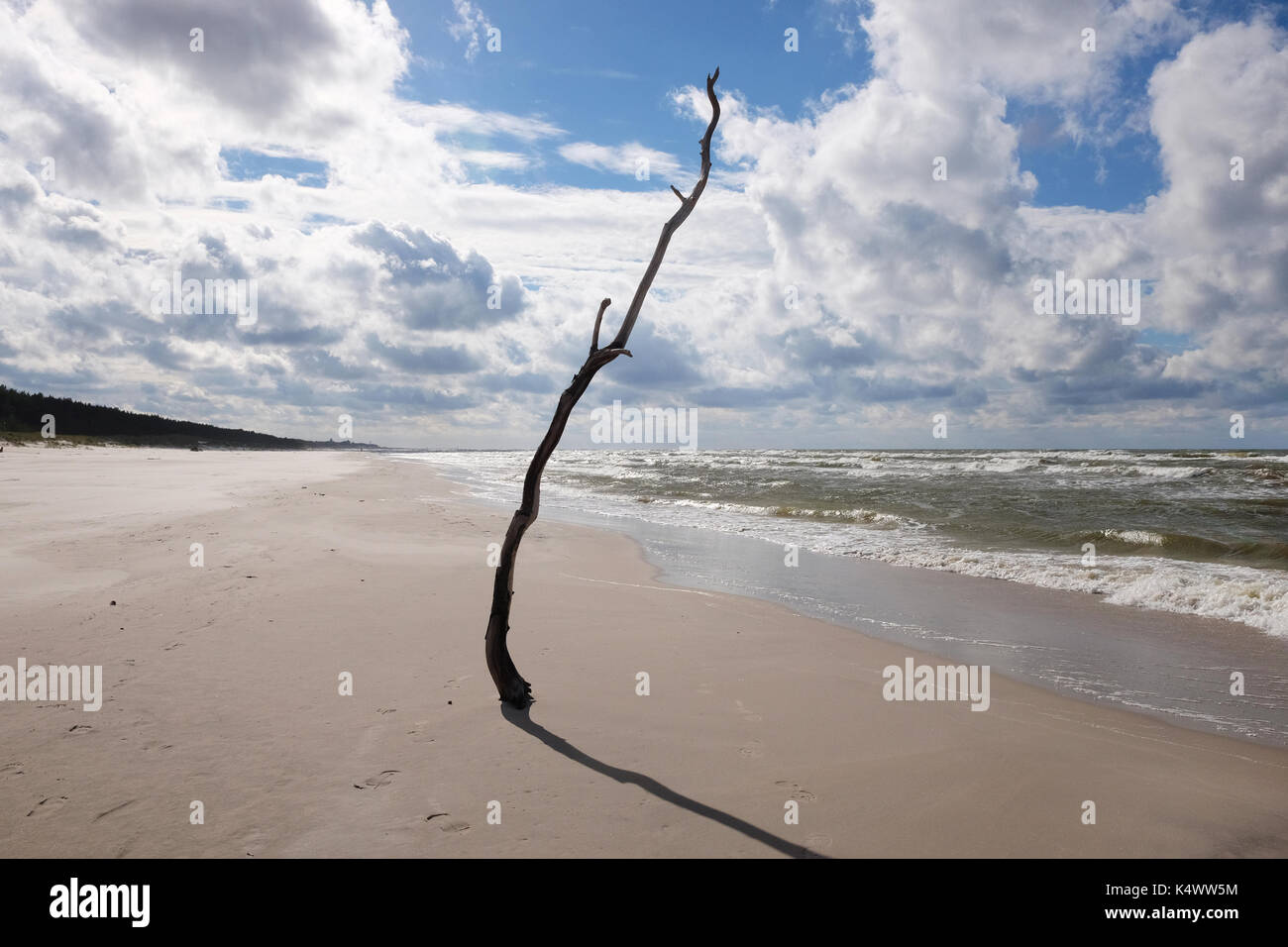 Sand stick hi-res stock photography and images - Alamy