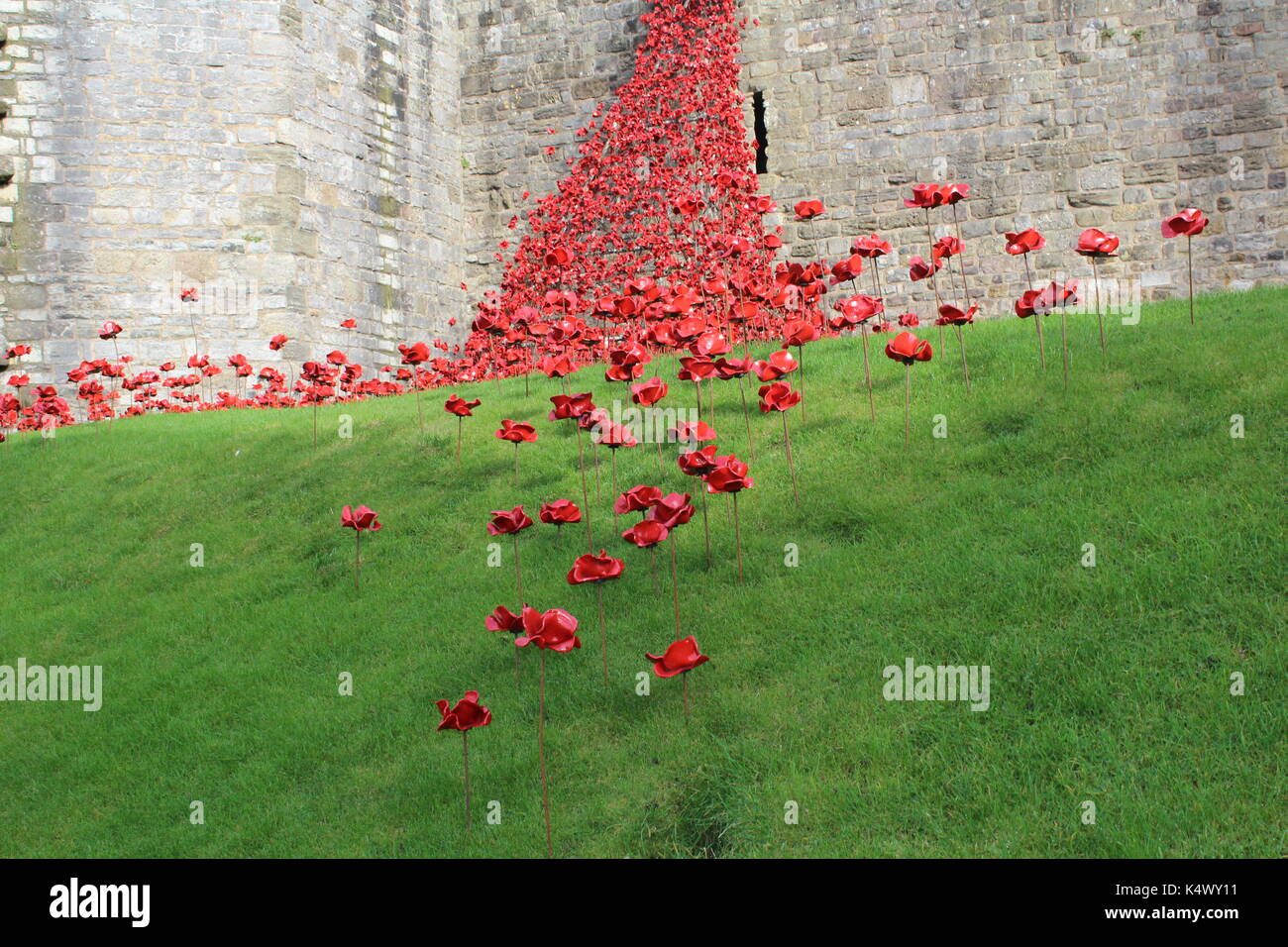 Poppy waterfall hi-res stock photography and images - Alamy