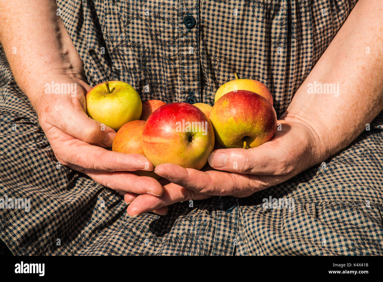 Ray skin hi-res stock photography and images - Alamy