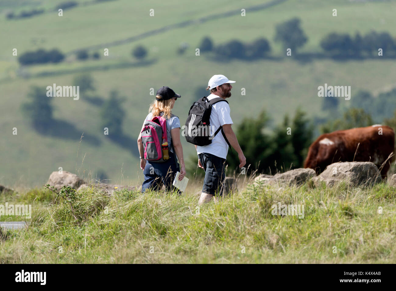 Minchinhampton Common south Cotswolds Gloucestershire England UK ...